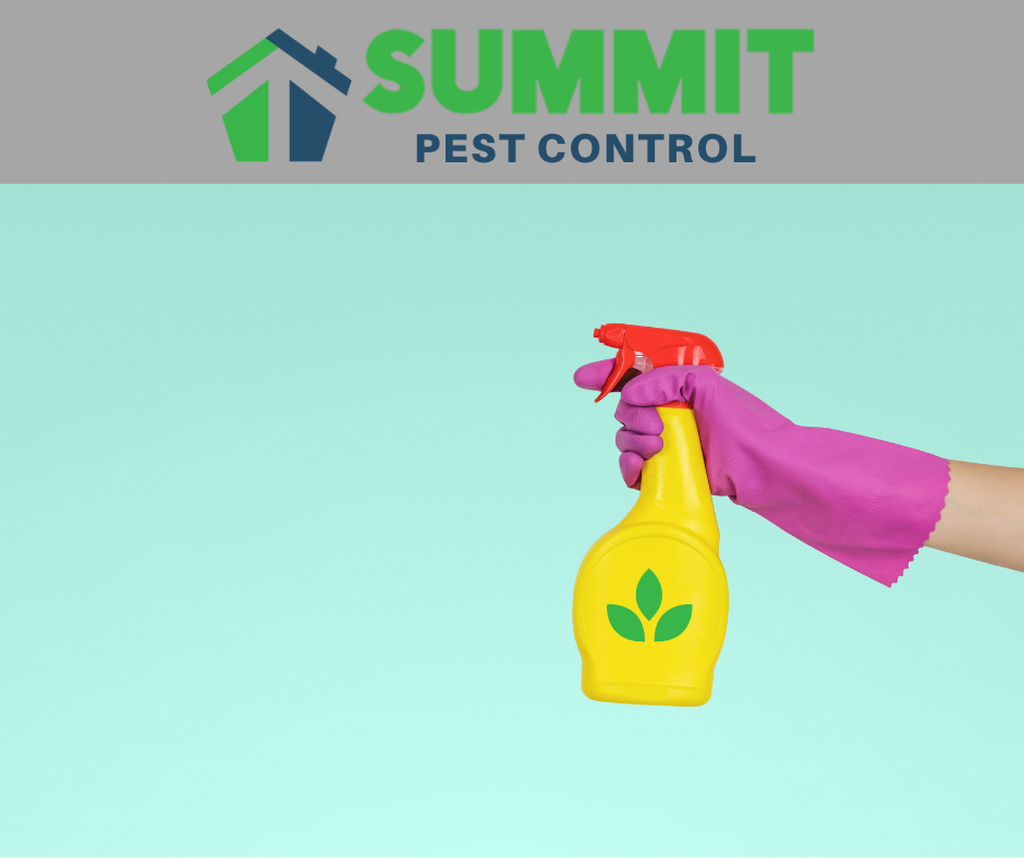 Green Pest Control - Summit Wildlife Removal