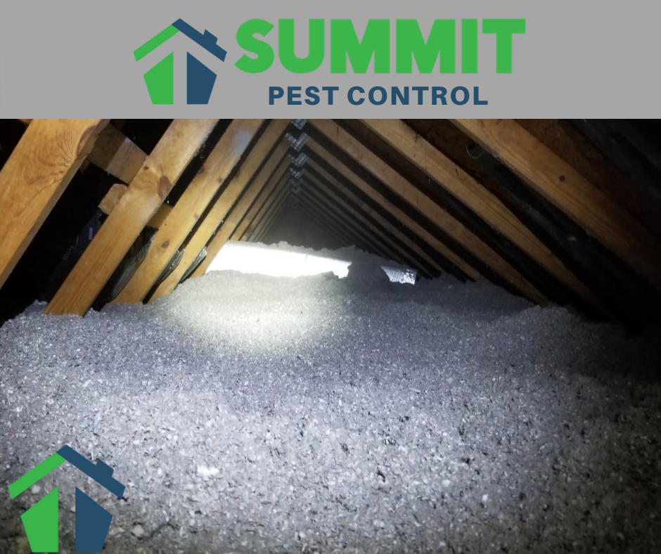 Animal and Pest Damaged Insulation Replacement in Fairfax, Alexandria ...